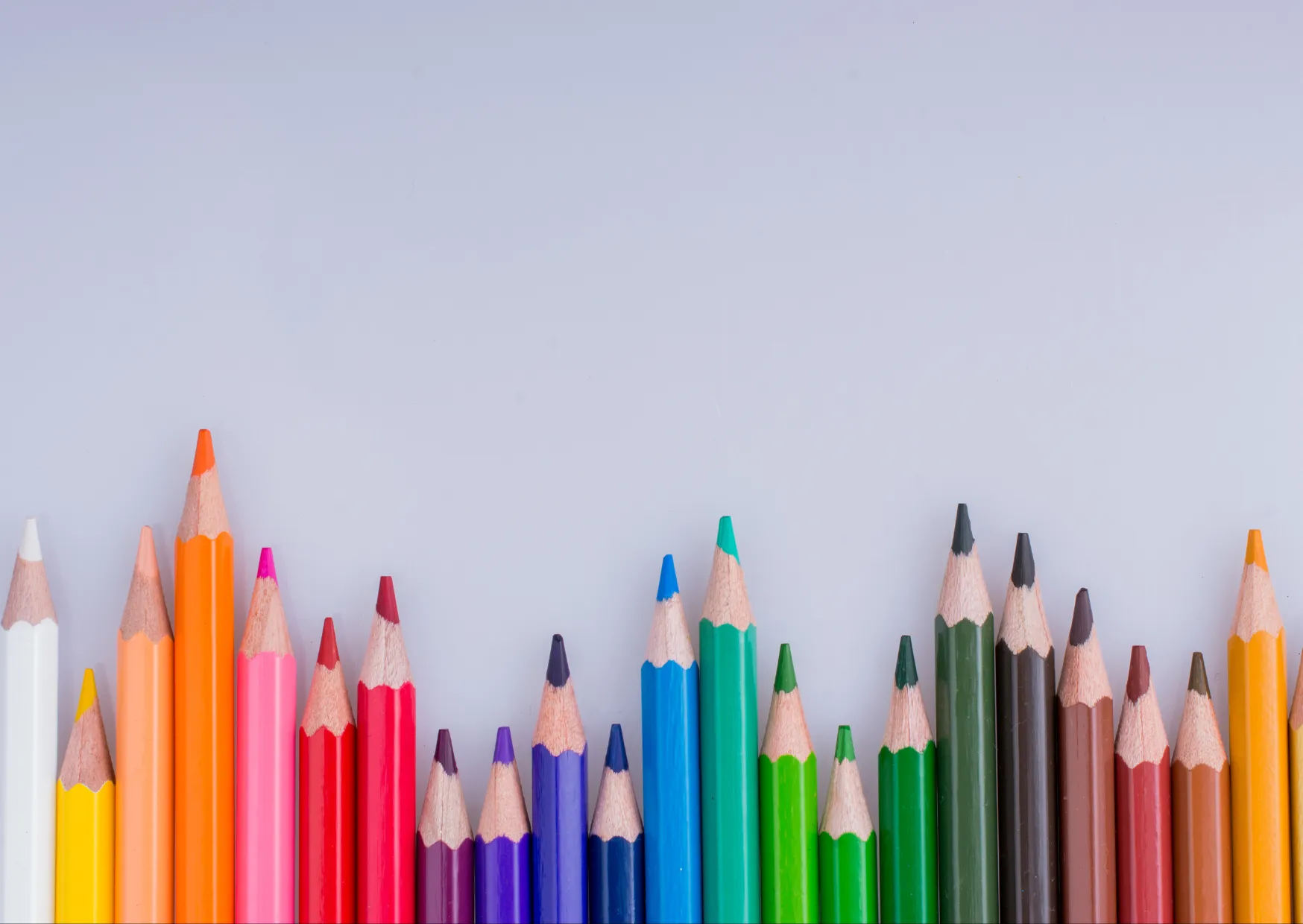 ILLUSTRATION PORTFOLIOS | Southern Breeze (Alabama, Georgia, and Florida panhandle) – SCBWI