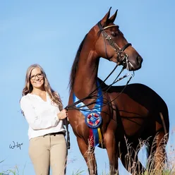 Dawn Simpson – SCBWI