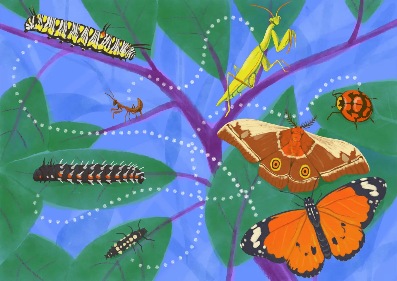 SCBWI South Africa: Our Members | South Africa – SCBWI